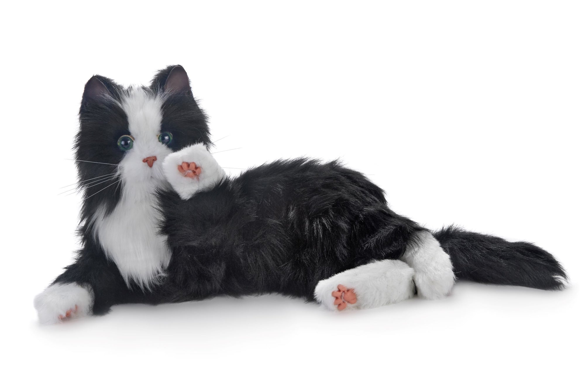 Black and white cat robotic companion pet - Alzheimer's Society