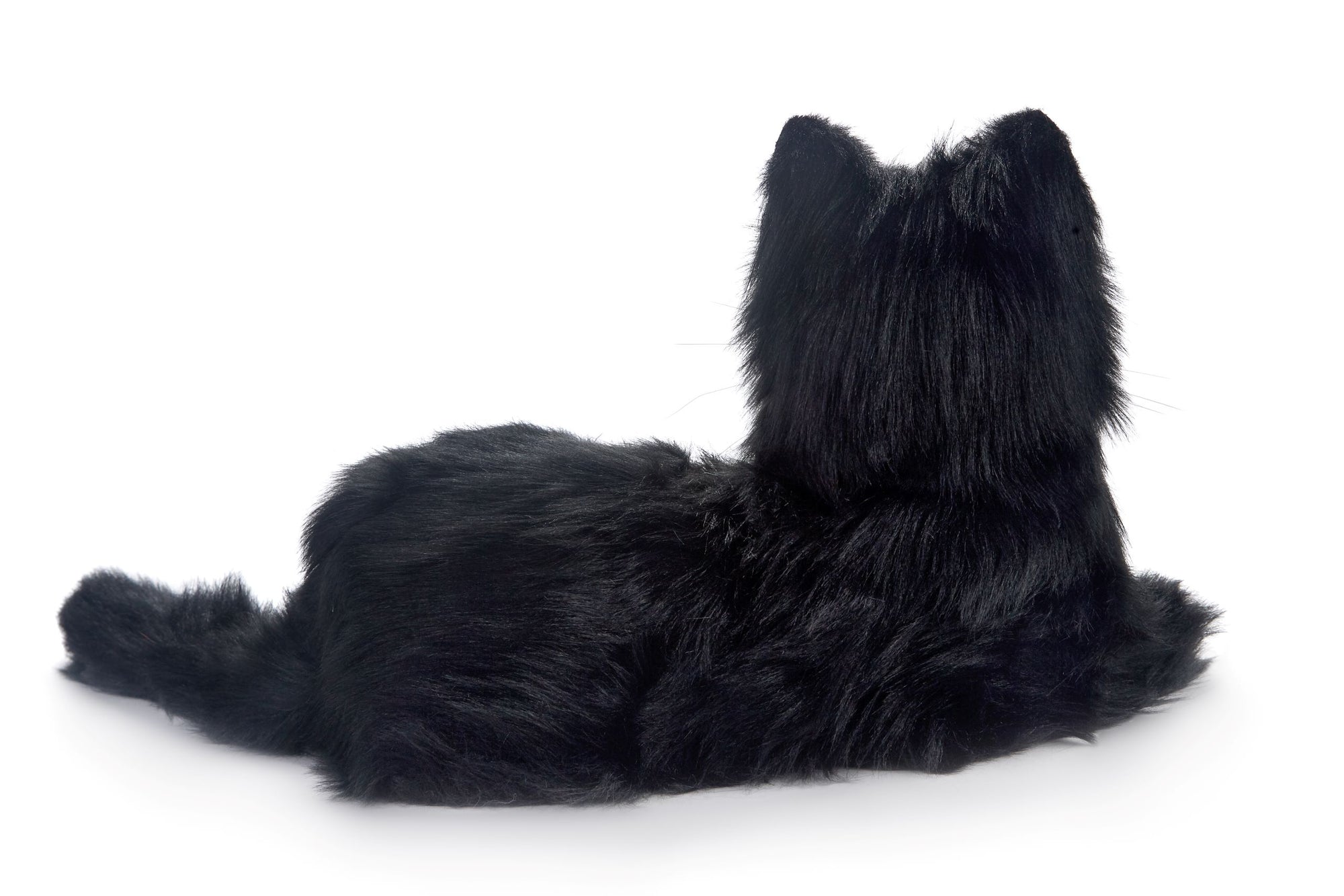 Black and white cat robotic companion pet - Alzheimer's Society