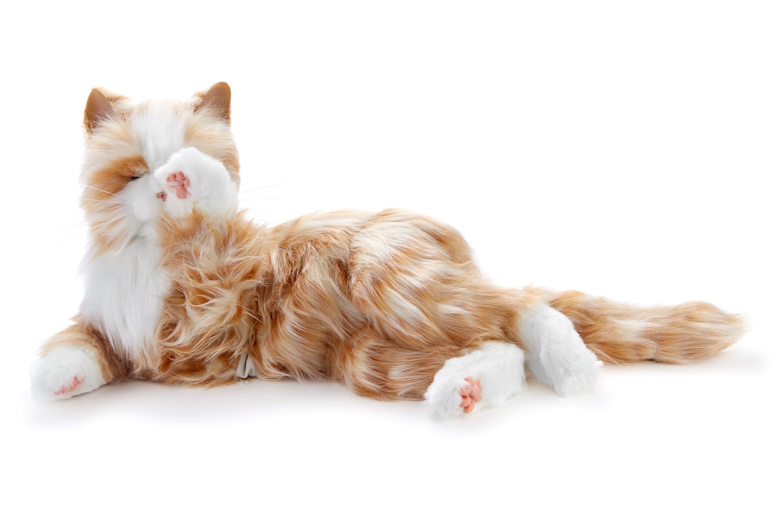 Orange tabby cat robotic companion pet - Alzheimer's Society