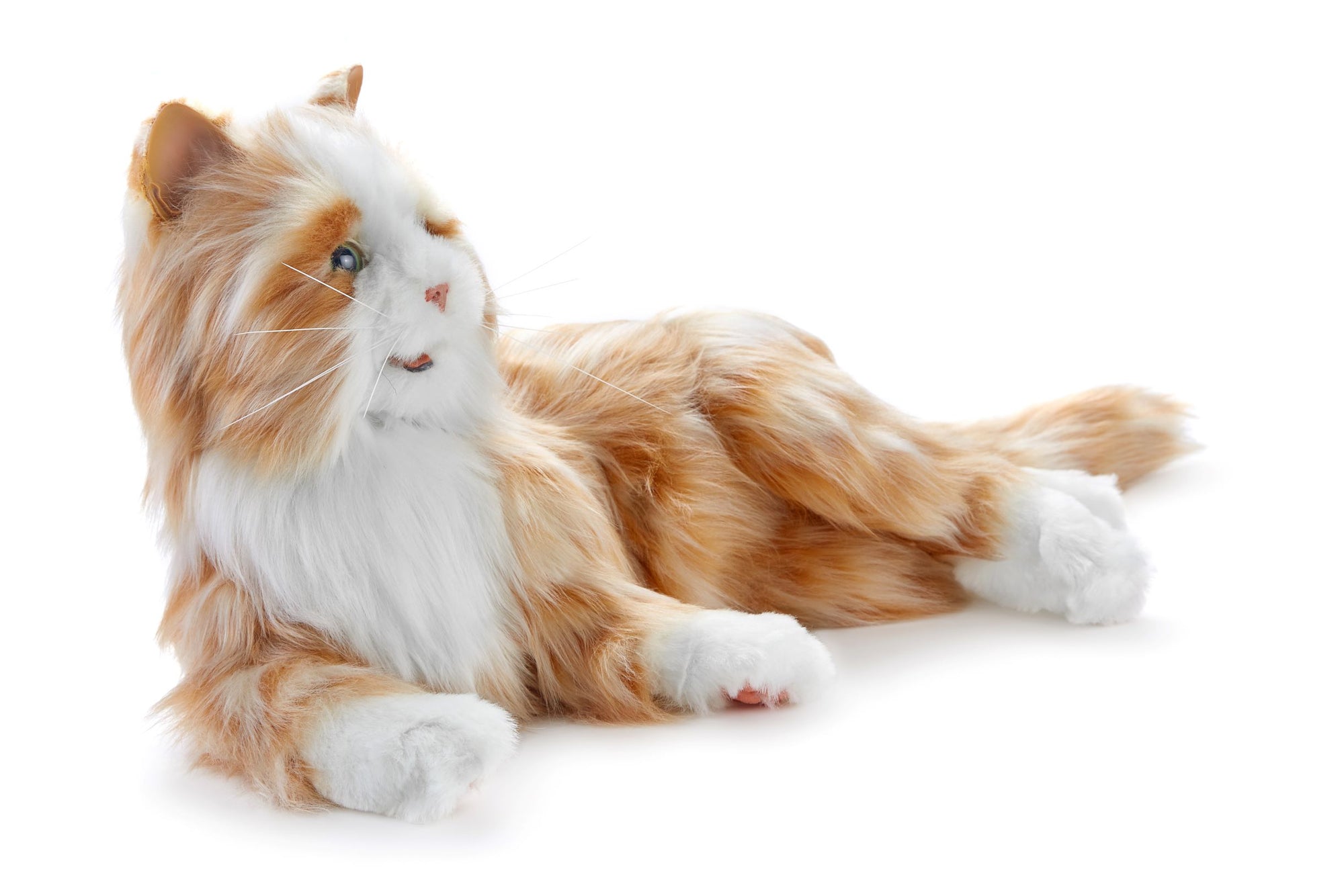 Orange tabby cat robotic companion pet - Alzheimer's Society