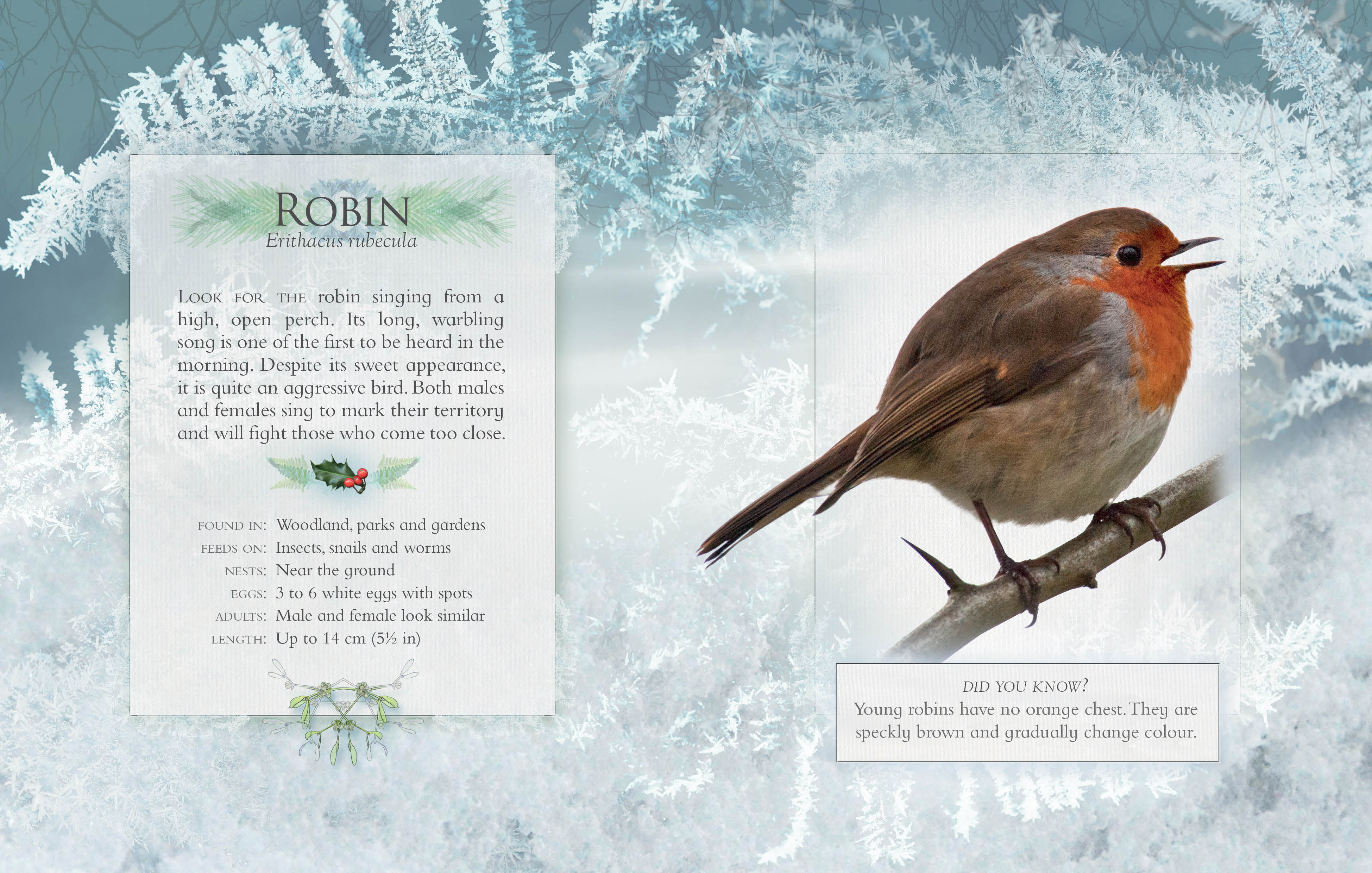 The little book of garden bird songs - Alzheimer's Society